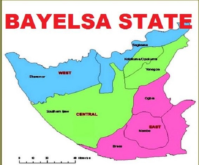 Bayelsa Community Youth President Hangs Self In Bush